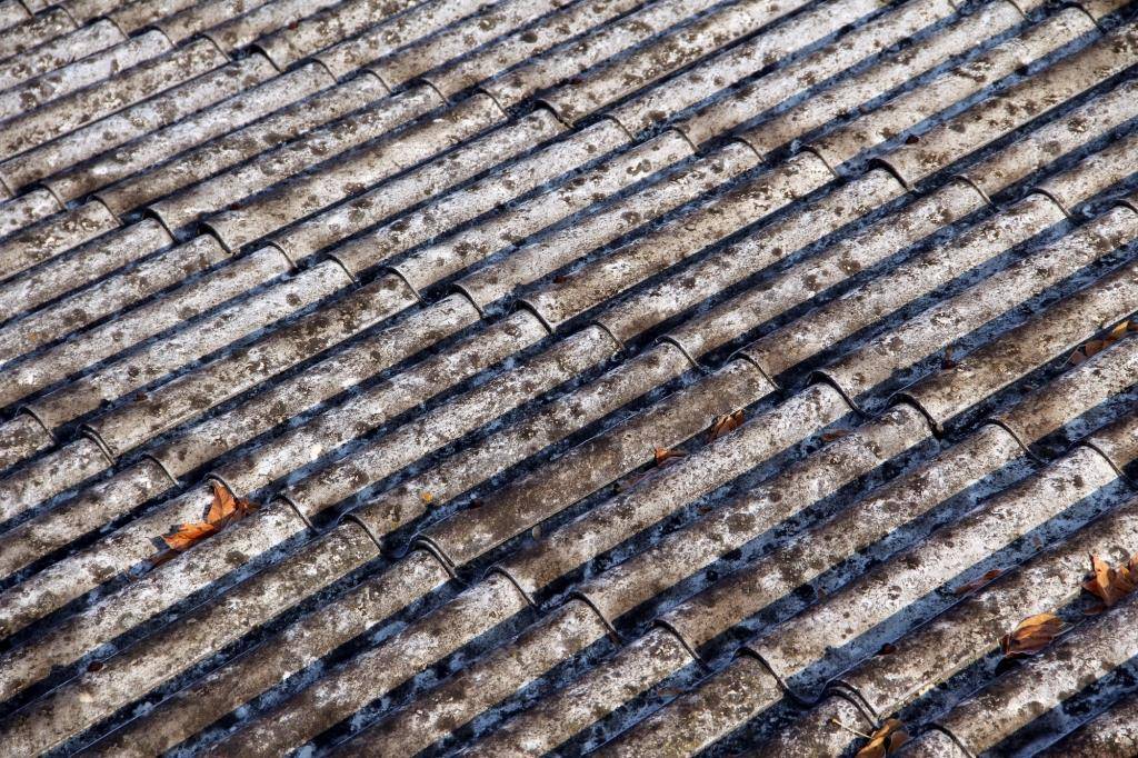 Entreprise pour le désamiantage d'une toiture de bâtiment à Toulouse en ...